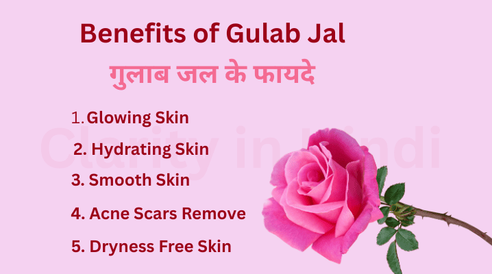 Best 10+ Gulab Jal Ke Fayde | गुलाब जल के फायदे और नुकसान